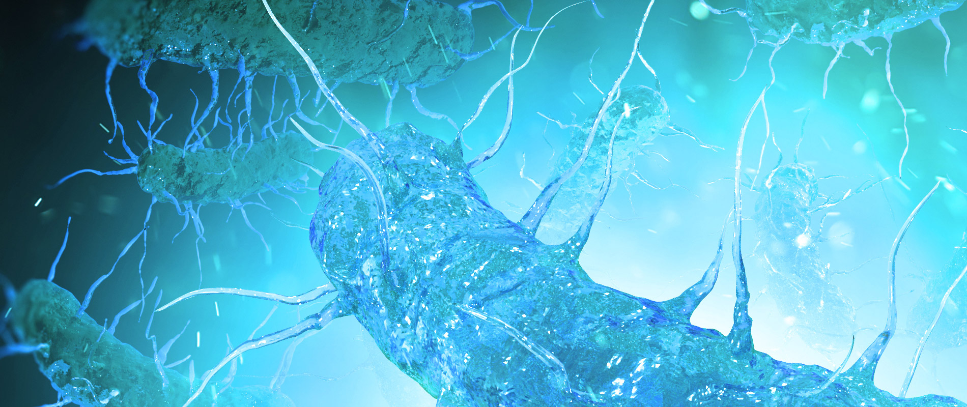 Bleach vs. Hypochlorous Acid for Cleaning and Disinfection - Disinfexol