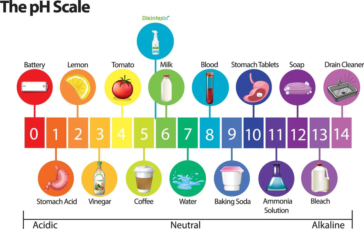 Hypochlorous Acid: Understanding the pH Scale - Disinfexol